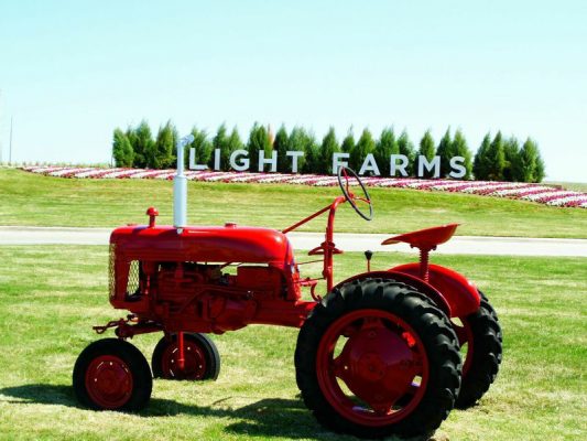 Spotlight On Light Farms - Good Life Family Magazine