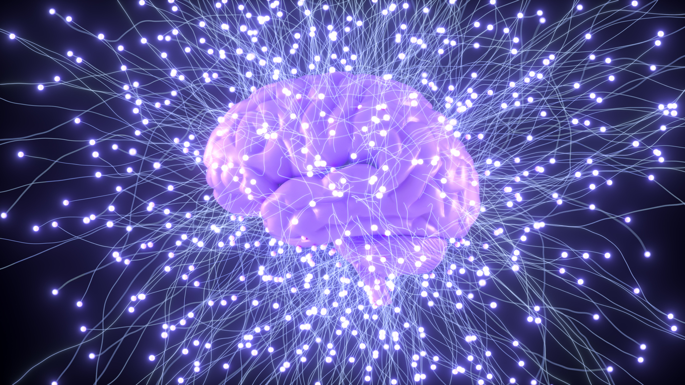 Our Amazing Brain - Good Life Family Magazine
