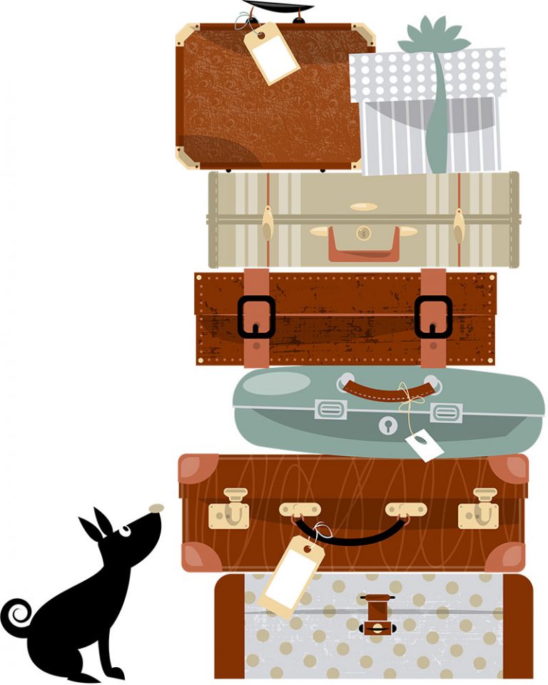Pack It Up! - Good Life Family Magazine