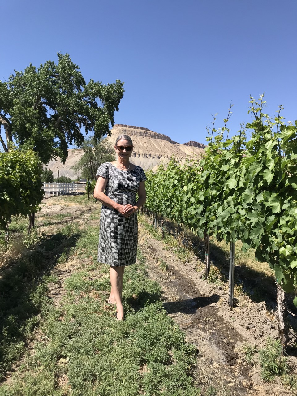 Agility, Endurance, And Vision: What Makes Women Distinctly Suited For ...