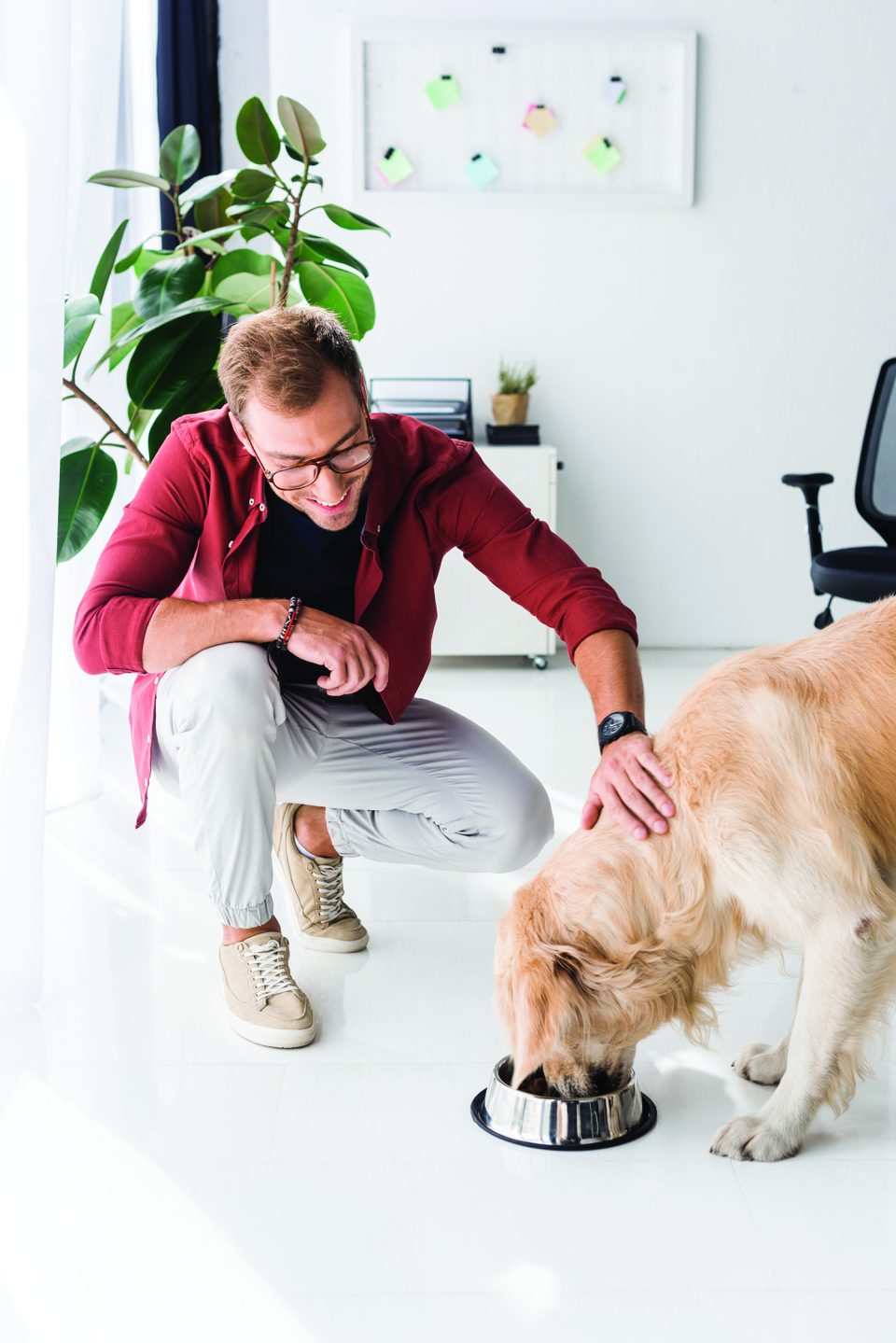 5 Ways To Celebrate Your Furry Friends - Good Life Family Magazine